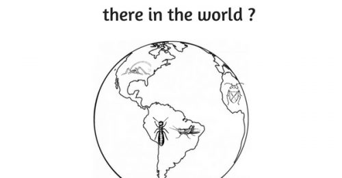 Blog about entomophagy and eating edible insects - Entomoveproject