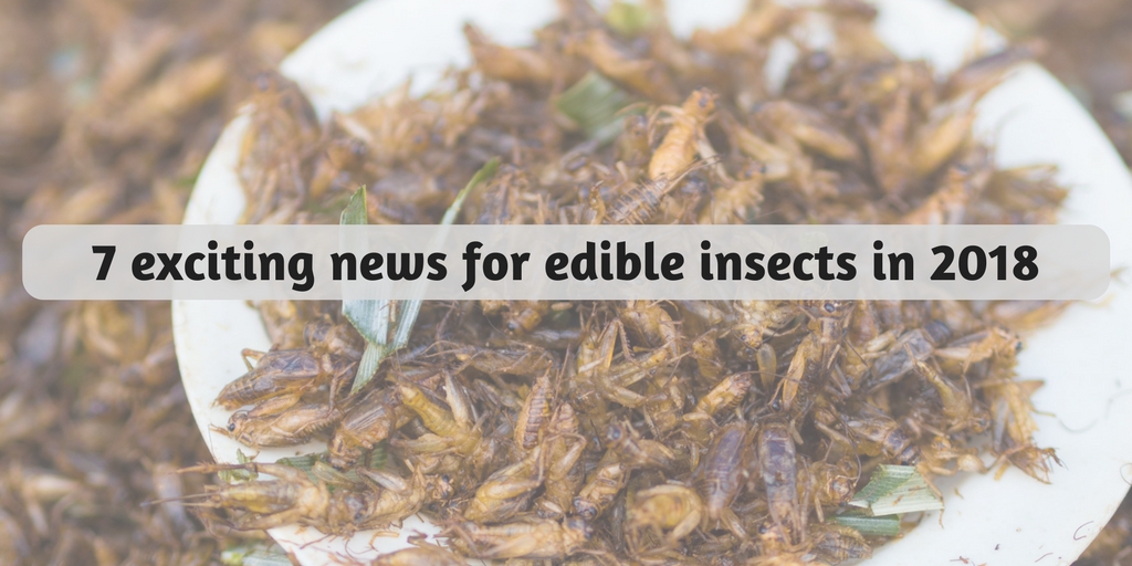 7 exciting news for edible insects in 2018 - EntoMove Project